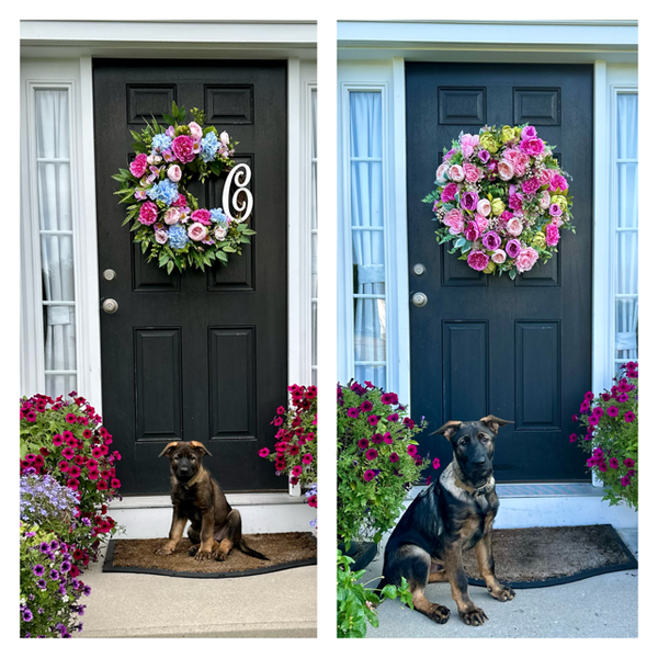 About – Enchanted Vines